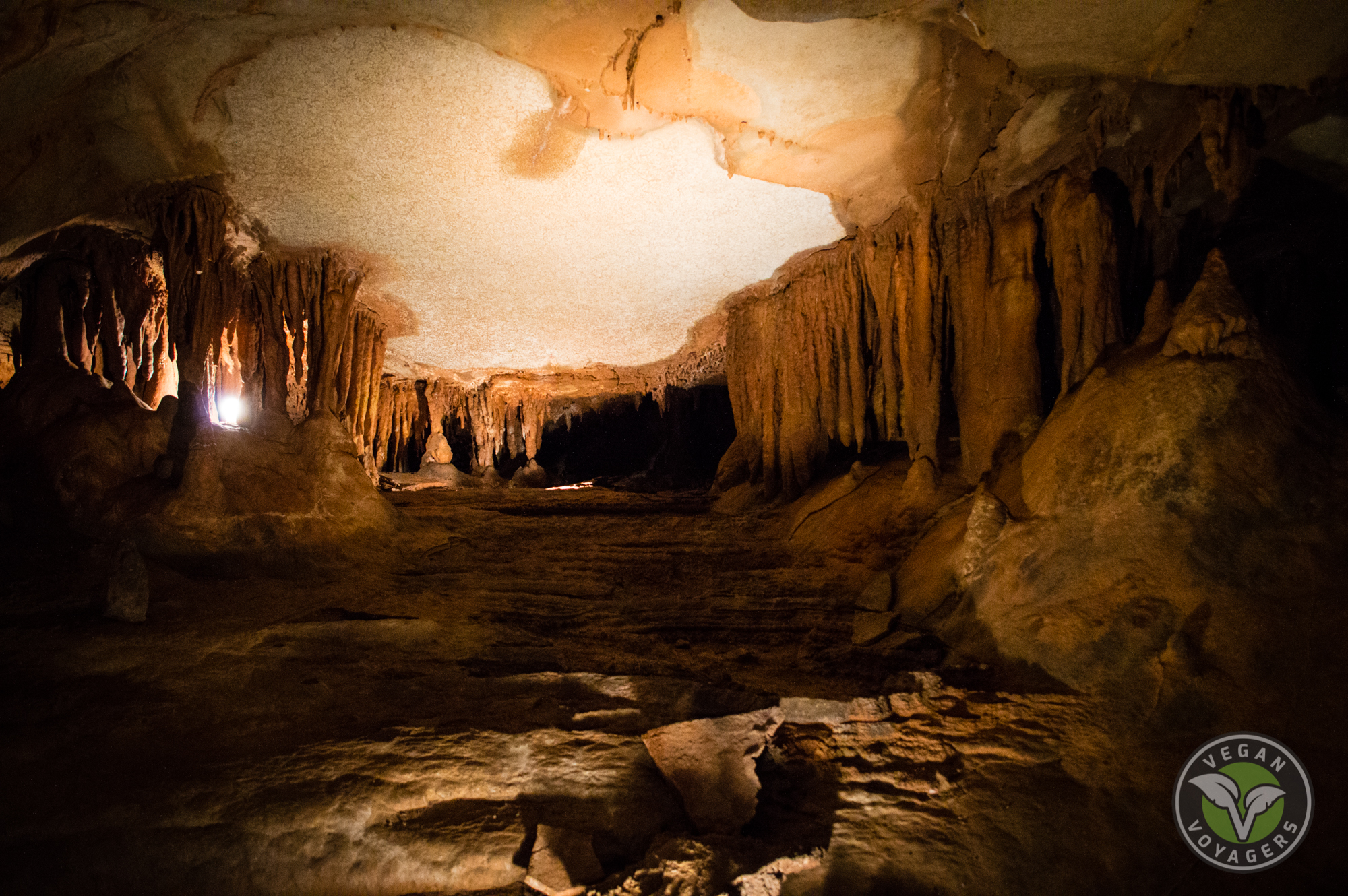 endless-caverns-resort-04 - Vegan Voyagers
