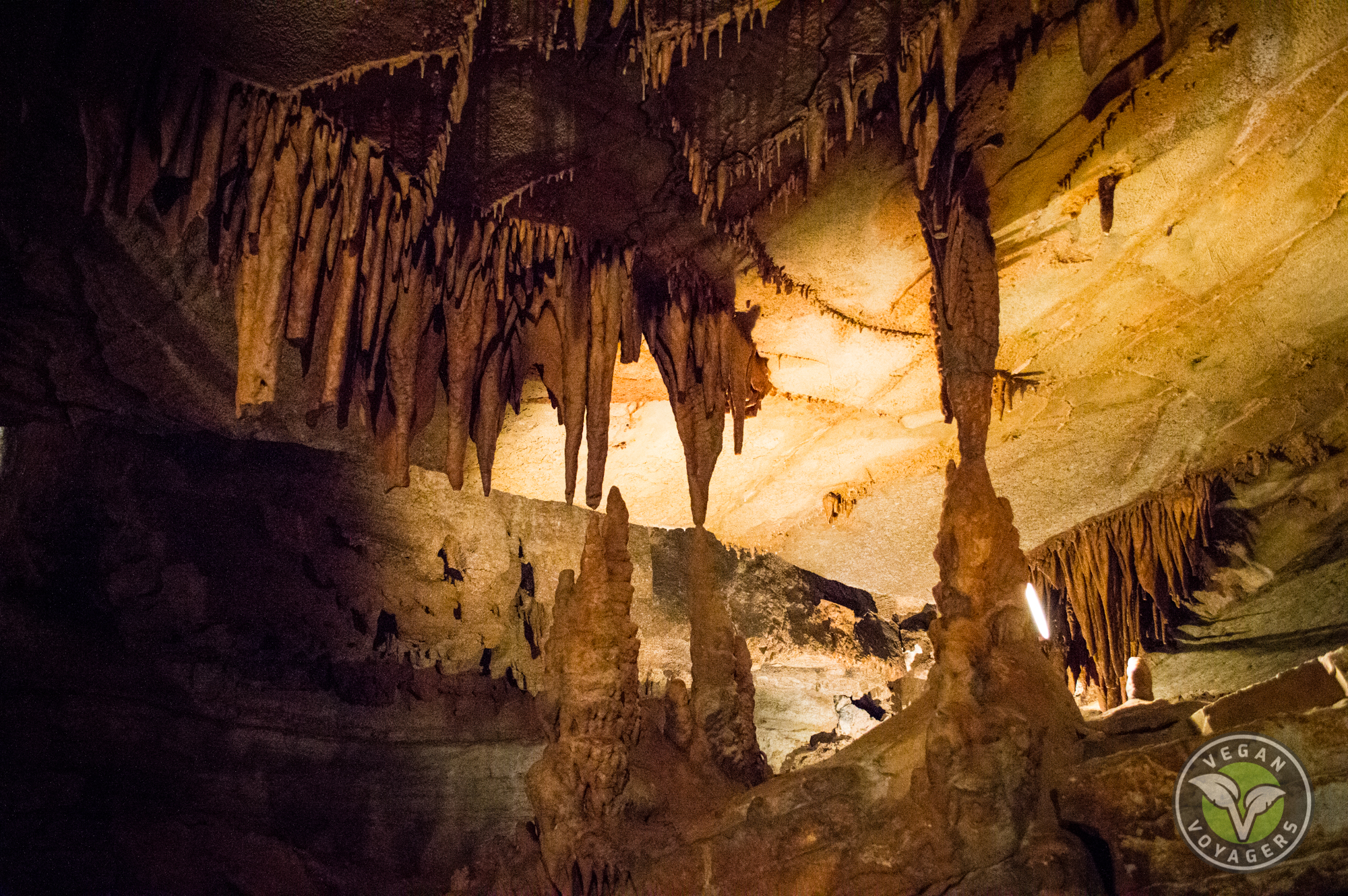 endless-caverns-resort-05 - Vegan Voyagers