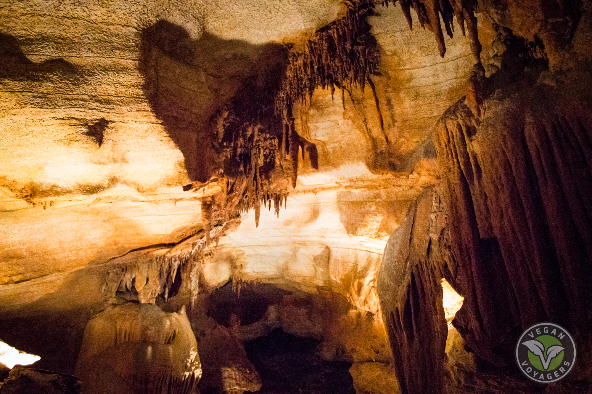 endless-caverns-resort-19 - Vegan Voyagers