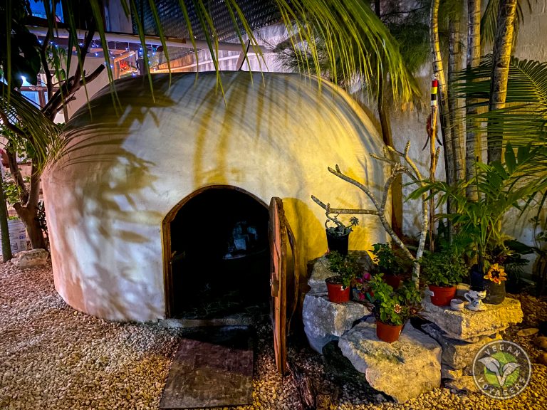What To Expect From A Traditional Temazcal Ceremony - Vegan Voyagers